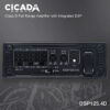 Cicada Audio DSP150.4D 4 Channel Amplifier w/built-in DSP – Extreme ...